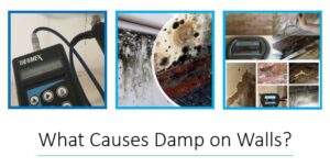 Damp On Walls - 5 Big Causes