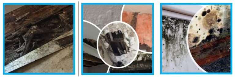 Types Of Damp - 4 Best Examples Explained